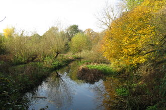 Nature Reserves | London Wildlife Trust