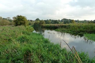 Nature Reserves | London Wildlife Trust