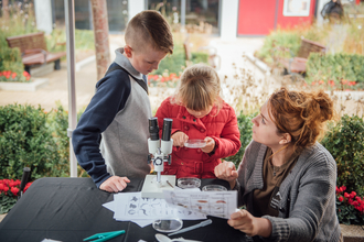 Family Learning Events | London Wildlife Trust
