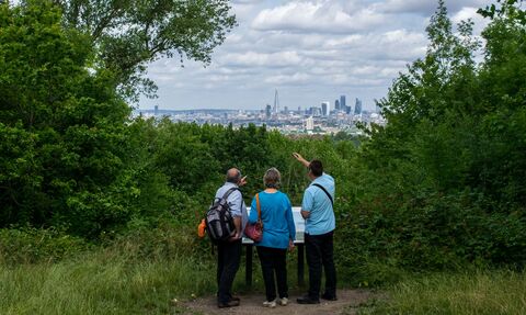 London's Living Landscapes | London Wildlife Trust
