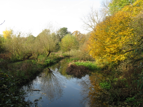 Crane Park Island | London Wildlife Trust