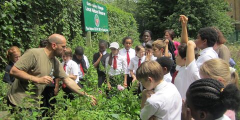 New visitor centre for Gunnersbury Triangle | London Wildlife Trust