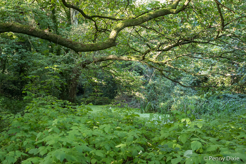 The Grove | London Wildlife Trust