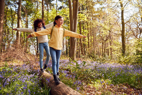 Nature Reserves | London Wildlife Trust