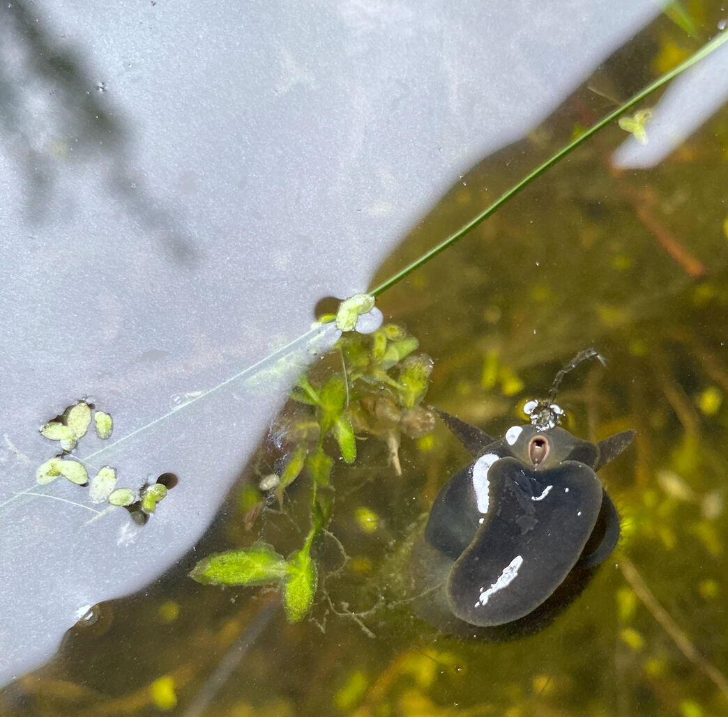 Be an amateur photographer with me by Keeping it Wild Trainee Charlie ...