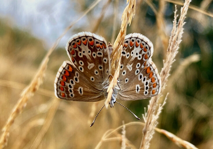 Be an amateur photographer with me by Keeping it Wild Trainee Charlie ...