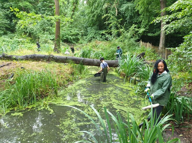 Keeping it Wild Traineeships | London Wildlife Trust