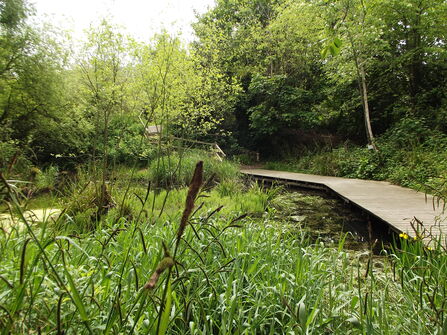 3 nature reserves to visit this spring | London Wildlife Trust