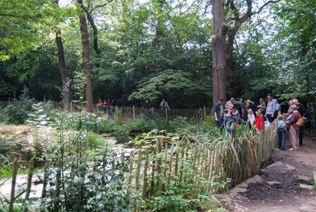 Reuniting Sydenham Hill Wood and Dulwich Wood | London Wildlife Trust